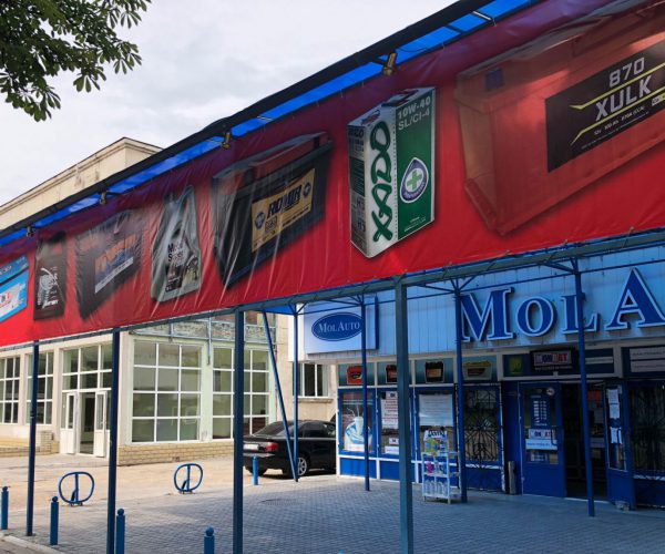 Despre companie - Molauto